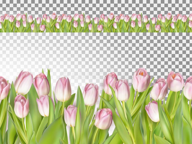 Spring Seamless Border Background. EPS 10 Stock Vector - Illustration ...