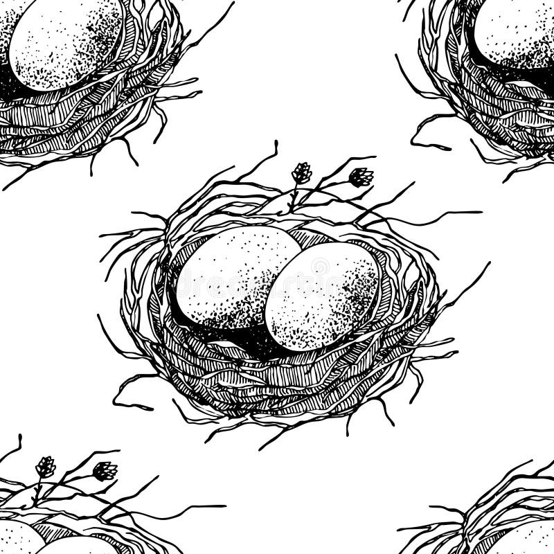 Spring Seamless Pattern with Bird Nest with Eggs. Easter Hand Drawn ...