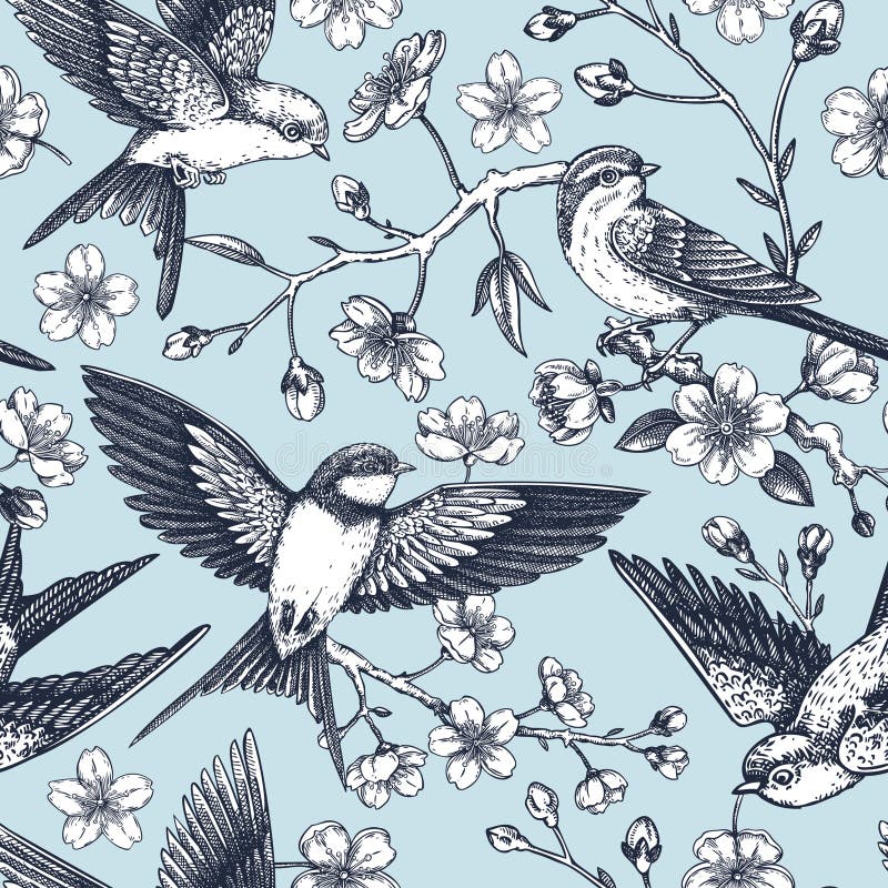 Spring Sakura Bird Wallpaper Birds Blossom Cherry Sakura Stock