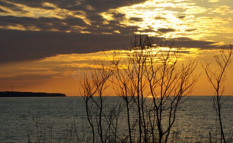 Spring seaside stock photo. Image of tree, seaside, background - 4937902