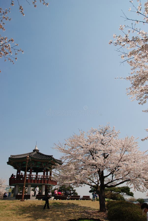 Spring editorial stock photo. Image of season, nature - 82435368