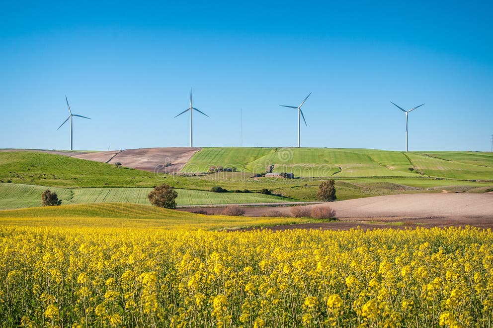 Spring season in Andalusia stock image. Image of global - 51179067