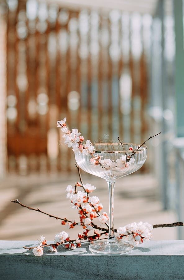 Spring Season Flowering Garden Branches Growth Life Stock Photo - Image ...