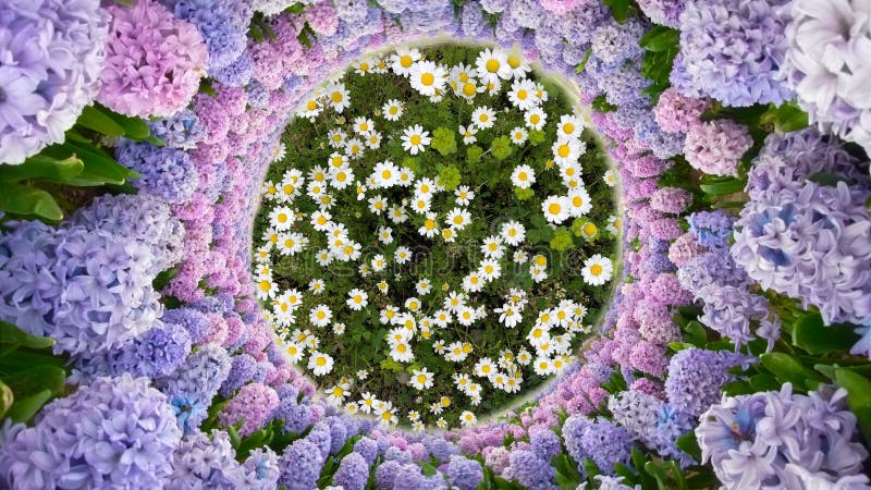 Spring Season, Flowers, Colors and 360 Photos Stock Image - Image of ...