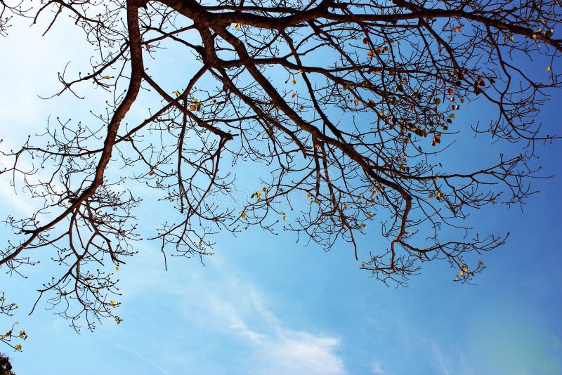 Spring stock photo. Image of blue, season, holiday, spring - 49640650