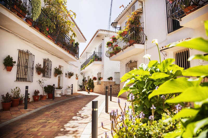 Spring season in Spain stock image. Image of spring - 116993761