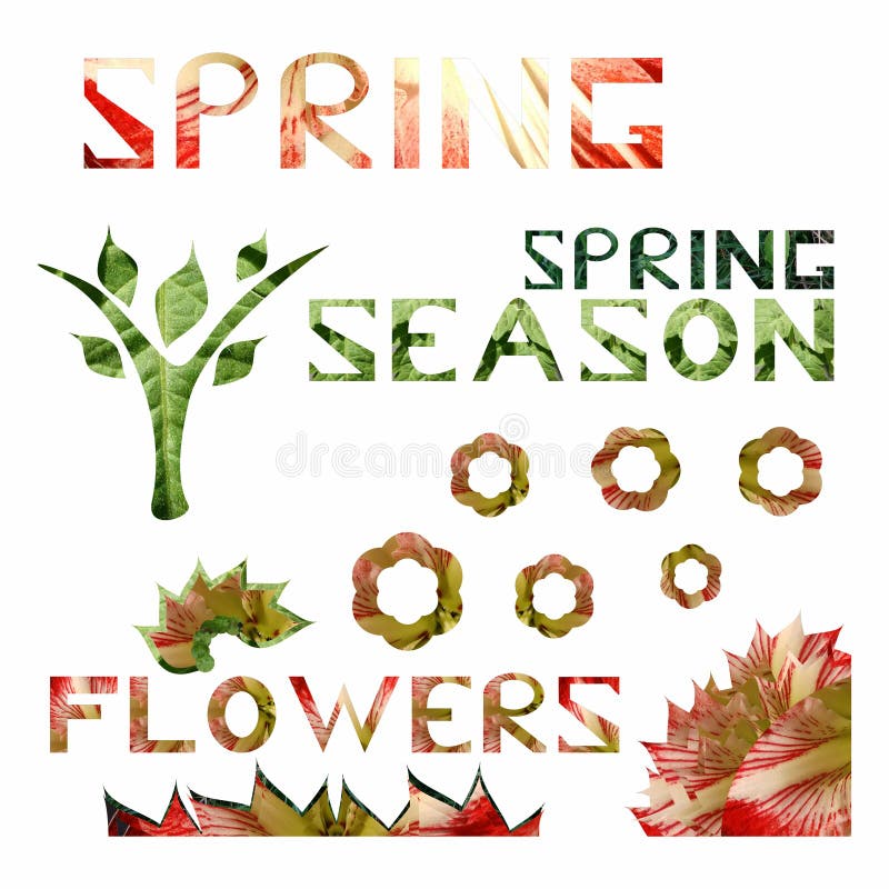 Spring Season Theme with Flowers and Leafs Stock Illustration ...