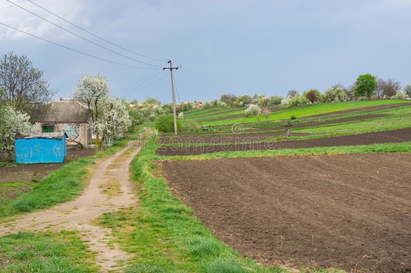 Spring Season in Ukrainian Country Stock Image - Image of green ...