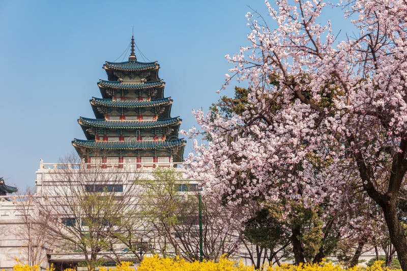Spring in Seoul South Korea Stock Photo - Image of attraction, building ...