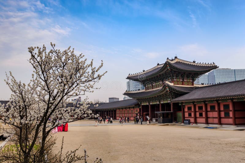 Spring in Seoul South Korea Editorial Photo - Image of gwanghwamun ...