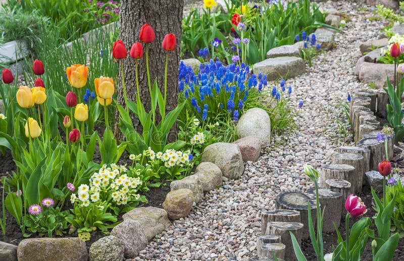 Flower Floral Purple Tiny Spring Plants Nature Stock Photo - Image of ...