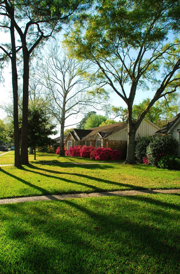 Popular Images - Free Stock Photos - StockFreeImages Page: 26