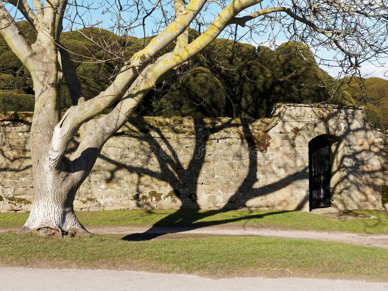 Spring Shadows stock photo. Image of wall, pool, archway - 82206618