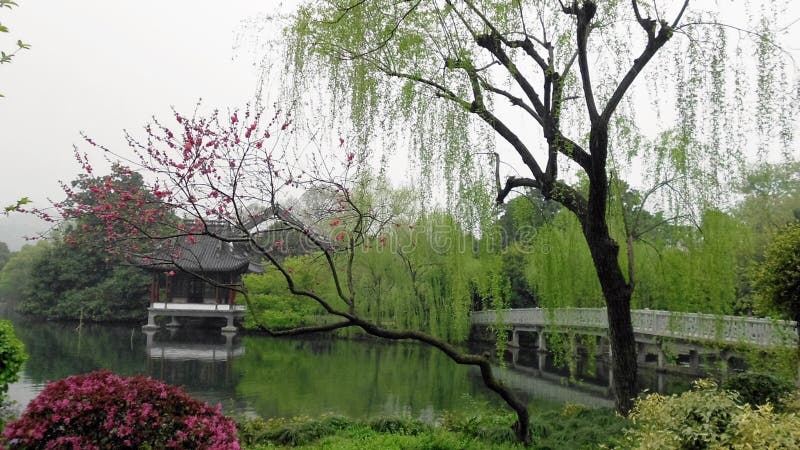 Spring in Shanghai China at the Summer Palace Stock Image - Image of ...