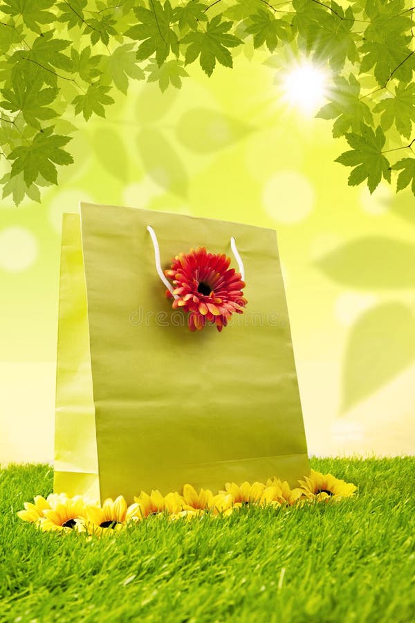 Spring Shopping Bag in Green Stock Image - Image of head, meadow: 30459457