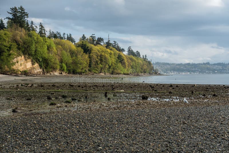 Spring Shoreline Landscape stock image. Image of saltwarter - 91064679