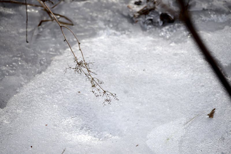 Spring Signs Ice Backgrounds Closeups Stock Photo - Image of sunrise ...