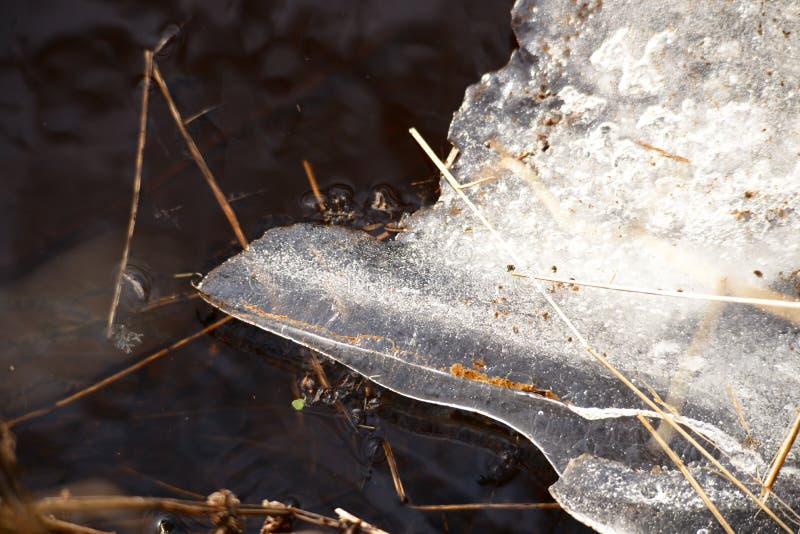Spring Signs Ice Backgrounds Closeups Stock Image - Image of sunrise ...