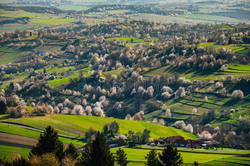 Spring in Slovakia. Meadows and Fields Landscape Near Hrinova Stock ...