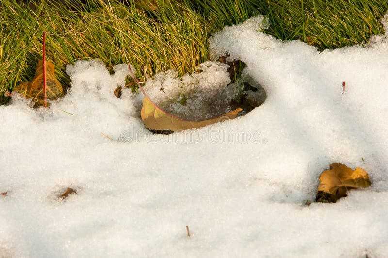 Spring slush stock photo. Image of melting, natural - 122734474