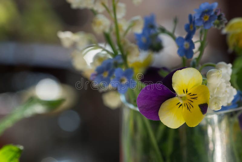 Spring small flowers stock photo. Image of colorful, meadow - 92419720