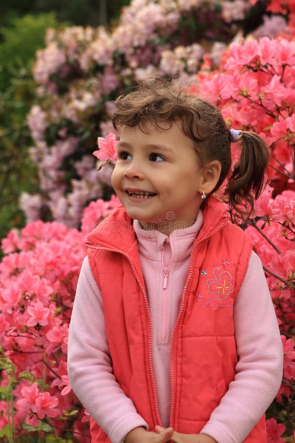 Spring flowers in rain stock image. Image of macro, fragility - 19391731