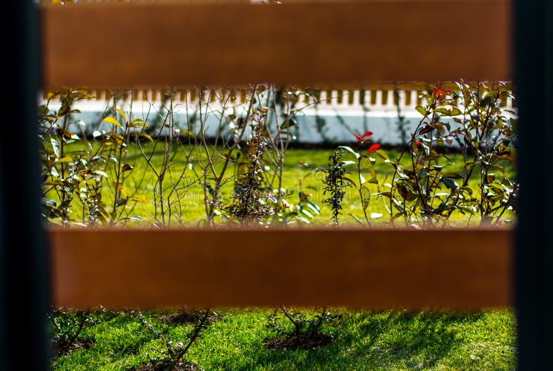 Spring Sneak Peek stock photo. Image of green, signs - 88573716