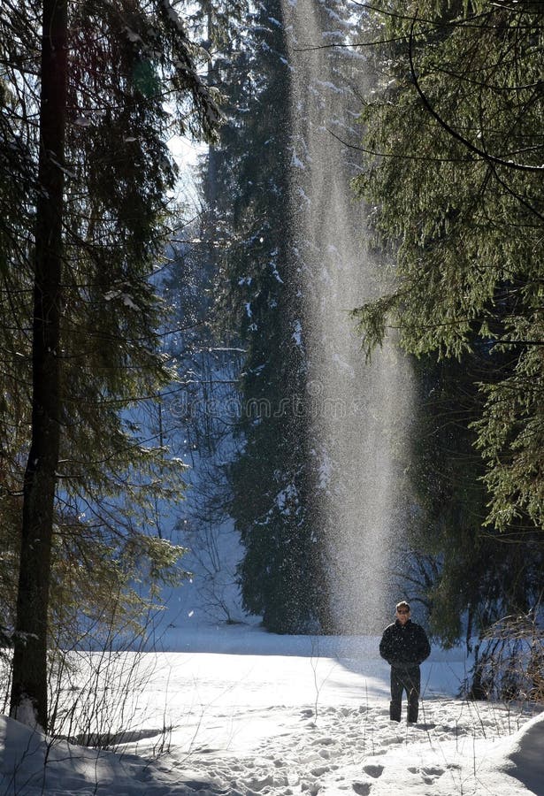 In Spring, the Snow is Falling Stock Photo - Image of radiate ...