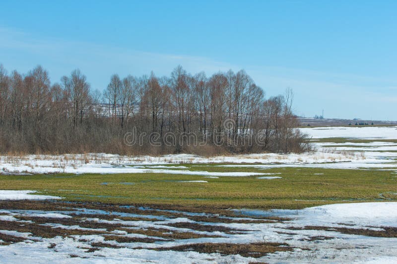 Spring snow last winter stock photo. Image of landscape - 80181224