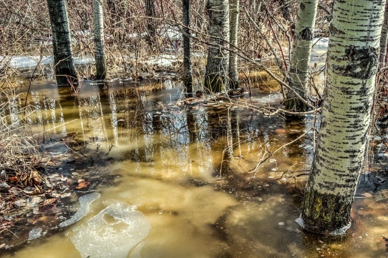 Spring snow melt stock image. Image of season, melting - 92779461