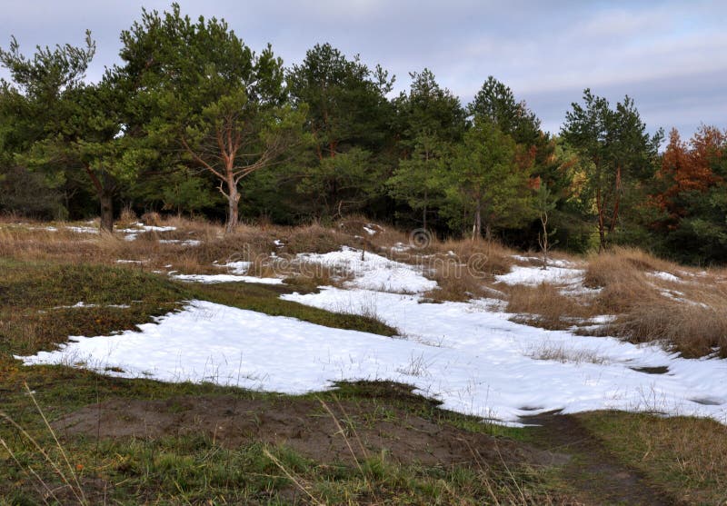 Spring snow melt stock photo. Image of spring, melting - 83424760
