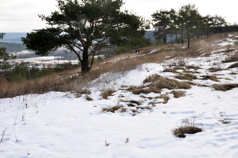 Spring snow melt_5 stock photo. Image of thawing, early - 83426252