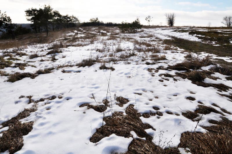 Spring snow melt_7 stock photo. Image of warm, grass - 83426986