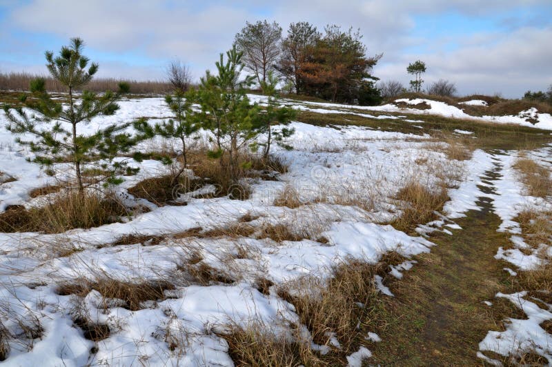 Spring snow melt_8 stock photo. Image of water, start - 83427314