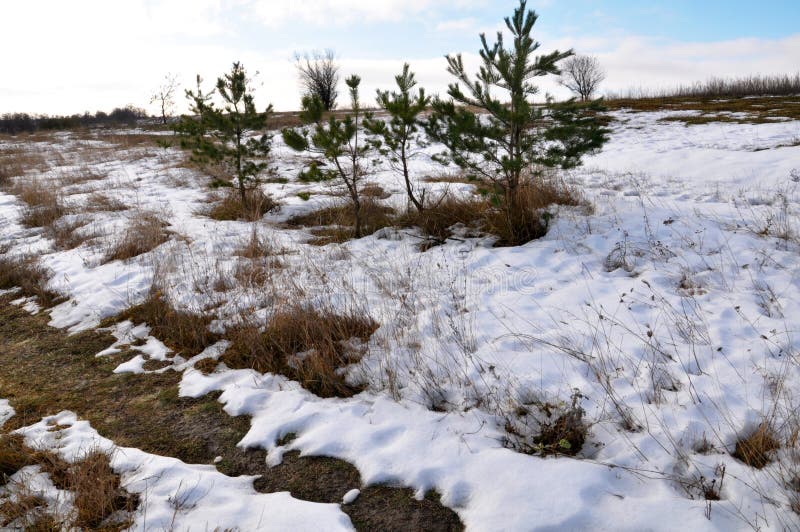 Spring snow melt_14 stock photo. Image of thawing, warm - 83430182