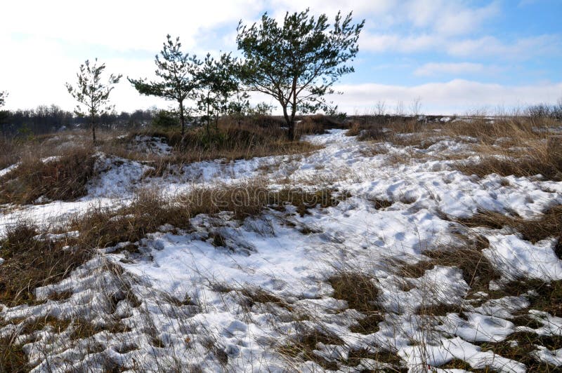 Spring snow melt_14 stock photo. Image of thawing, warm - 83430182