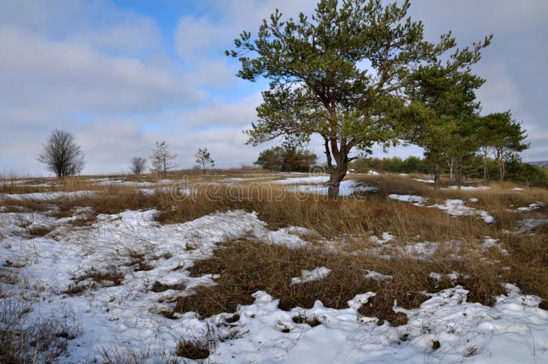 Spring snow melt_15 stock photo. Image of thawing, water - 83430458