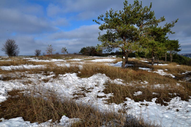 Spring snow melt_17 stock image. Image of start, thaw - 83431245