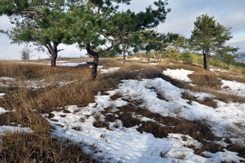 Spring snow melt_19 stock photo. Image of warm, thawing - 83503532