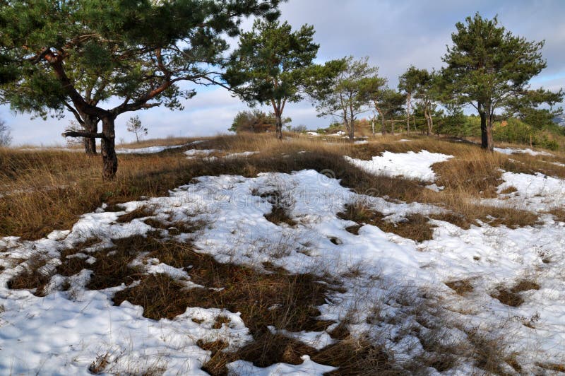 Spring snow melt_20 stock photo. Image of snow, melting - 83503600