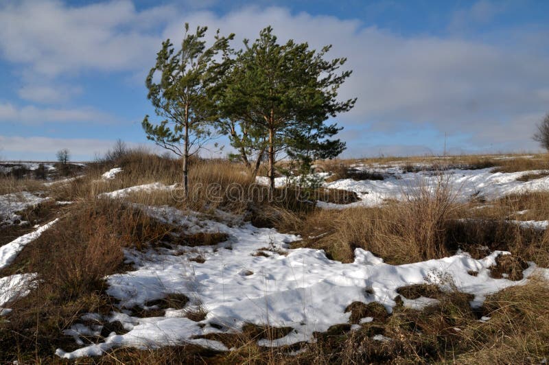 Spring snow melt_22 stock image. Image of warm, thawing - 83503683