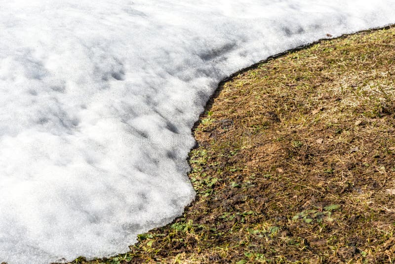 Spring snow is melting stock image. Image of background - 150746407