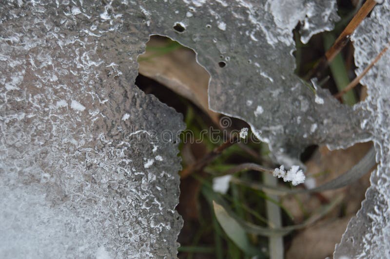 Spring stock photo. Image of snow, spring, break, years - 84792328