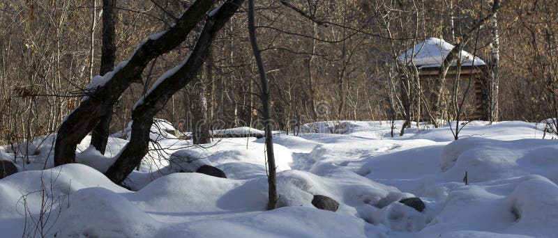 Spring snow. stock photo. Image of mountains, leaves - 110649478