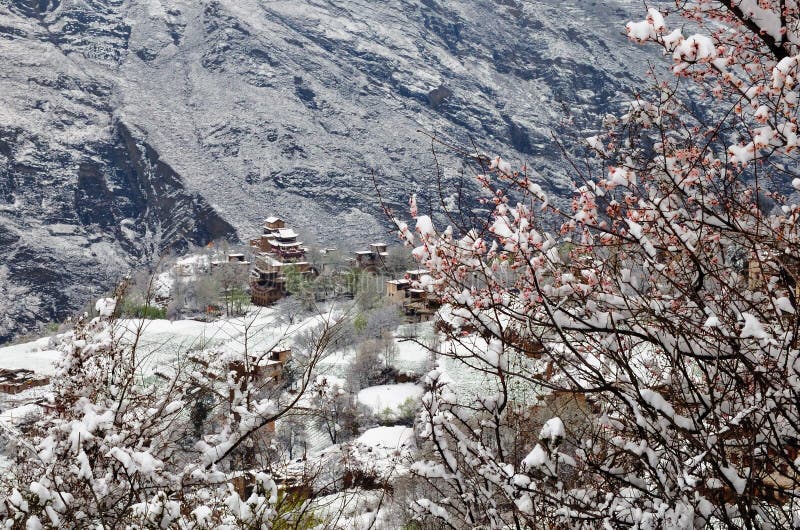 Spring Snow of Tibetan Village Stock Photo - Image of area, flower ...