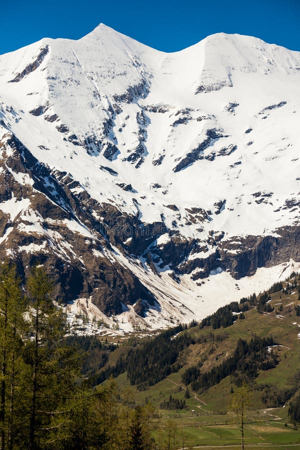 Spring Snow and Trees on the Slope. Grossglockner Pass in Austria Stock ...