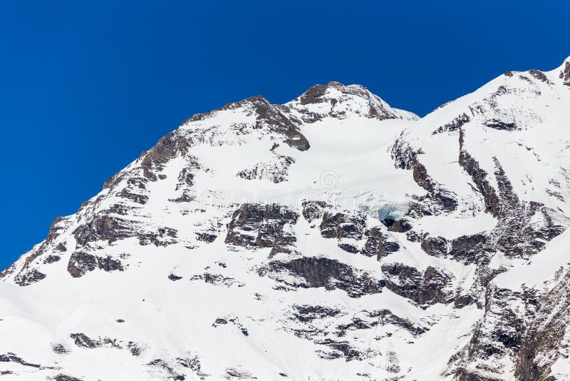 Spring Snow and Trees on the Slope. Grossglockner Pass in Austria Stock ...