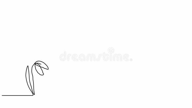 Spring Snowdrop Flower in Continuous Line Art Drawing Style. Black ...