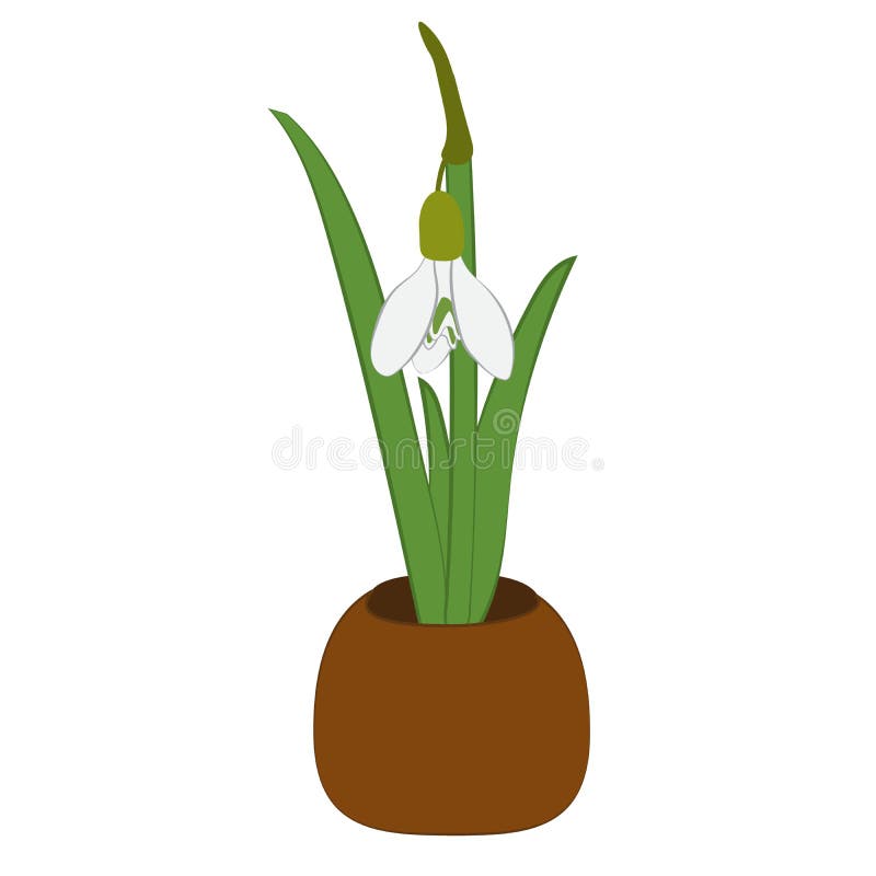Snowdrop Flower Logo Stock Illustrations – 420 Snowdrop Flower Logo ...