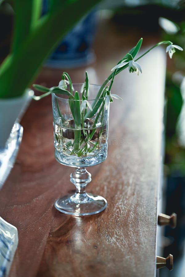 Spring Snowdrops in a Crystal Glass Stock Image - Image of table, plant ...